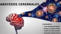 Abscesos Cerebrales, fisiopatología, clínica, etiología, generalidades ...