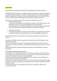 Citoscheletro: Microtubuli,Microfilamenti e Filamenti Intermedi - Docsity