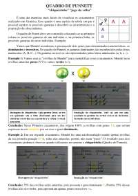 Quadro de Punnett - - Docsity