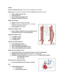 GENERALIDADES DE ESÓFAGO - Docsity