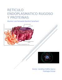 Reticulo Endoplasmatico Rugoso - Docsity