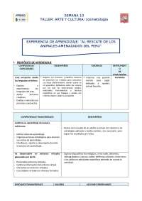 Experiencia de Aprendizaje de Aprendo en Casa | Esquemas y mapas conceptuales de Educación ...