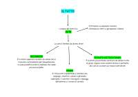 MAPPA CONCETTUALE SENSO DEL TATTO - Docsity