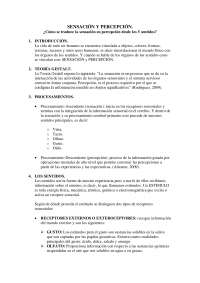 SENSACIÓN Y PERCEPCIÓN - Docsity