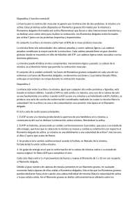 Bioquimica, funcion contractil - Docsity