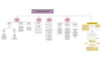 Mapa Conceptual CCSS - Docsity