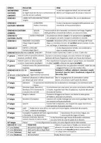Schema Inferno Dante - Docsity