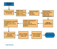 Flujograma violencia sexual | Esquemas y mapas conceptuales de Medicina Legal | Docsity