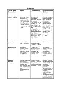 RESUMO CEFALEIA- COMPARATIVO DE SINTOMAS ENTREAS AS PRINCIPAIS CEFALEIAS - Docsity