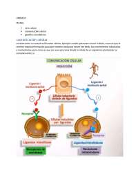 Resumen de biologia (ciclo celular, comunicacion celular y genetica mendeliana) - Docsity