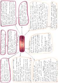 Mappa concettuale William Wordsworth - Docsity