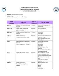 100 Lineas celulares (Primarias- Diploides- Continuas) - Docsity