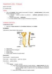 Anatomía de las paredes del tórax - Docsity