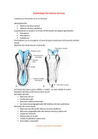 EMBRIOLOGIA DEL SISTEMA NERVIOSO - Docsity
