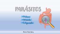 Tipos de Parásitos - Antiparasitarios - Docsity