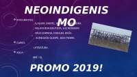 PPT del Neoindigenismo - Docsity