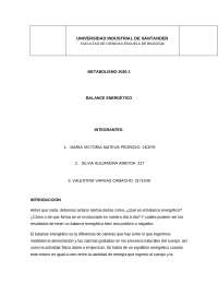 Balance energetico en individuis - Docsity