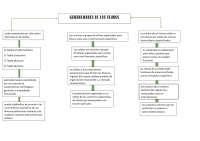 Generalidades del tejido - Docsity