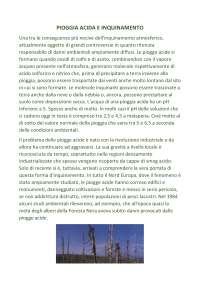 Pioggia acida e inquinamento - Docsity