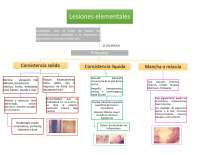 Cuadro sinoptico de lesiones basicas dermatologicas | Esquemas y mapas conceptuales de Medicina ...