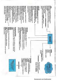 Mappa Concettuale Seneca - Docsity
