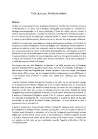 Court résumé et fiche de lecture: Candide de Voltaire - Docsity