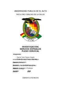 Plexo cervical nervios espinales anatomia - Docsity