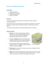 Tema 1: Fundamentos de fisiología vegetal. - Docsity