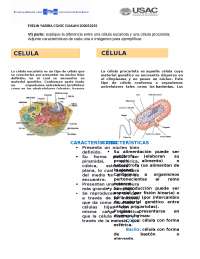 Célula eucariota y una célula procariota - Docsity