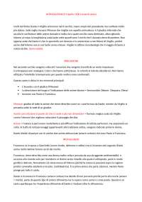 Paolo e Francesca Canto V | Appunti di Italiano | Docsity