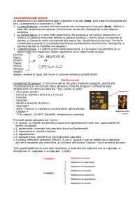 Stafilococchi e staphylococcus aureus - Docsity