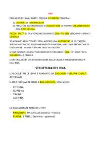 IL DNA - SPIEGAZIONE - Docsity
