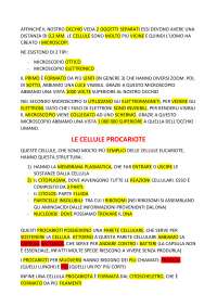 RIASSUNTO STRUTTA CELLULE EUCARIOTE E PROCARIOTE - Docsity