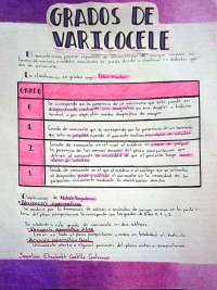 Clasificación de varicocele - Docsity