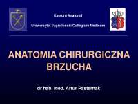 Anatomia chirurgiczna: budowa brzucha - Docsity
