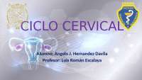 Fases del ciclo cervical, modificaciones del moco cervical por fármacos ...