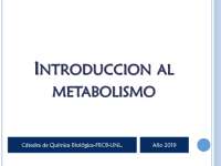 Introduccion al metabolismo - Docsity