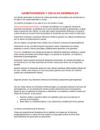 GAMETOGENESIS Y CELULAS GERMINALES RESUMEN - Docsity