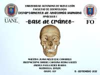 BASE DE CRÁNEO CARA ENDOCRANEAL Y EXOCRANEAL | Diapositivas de Anatomía ...