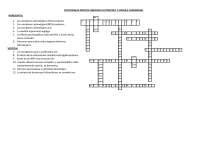 Crucigrama sistema nervioso autonomo y medula espinal | Esquemas y ...