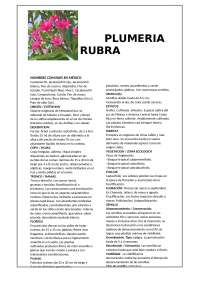 Fichas técnicas de plantas de la región - Docsity