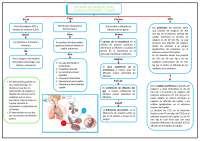 DIFUSIÓN DE GASES AL NIVEL ALVEOLO PULMONAR Y TEJIDO | Esquemas y mapas conceptuales de ...