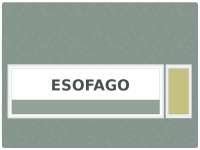 ESTRECHAMIENTO DEL ESOFAGO O ESTENEOSIS ESOFAGICA. - Docsity