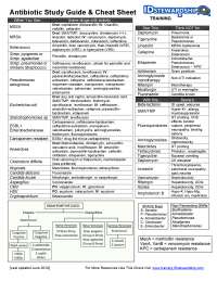 Antibiotic Study Guide & Cheat Sheet | Cheat Sheet Pharmacology | Docsity