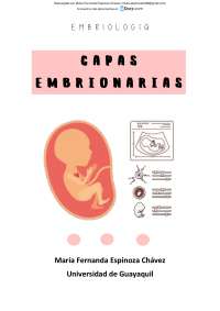 Las Capas Embrionarias - Docsity