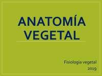 Anatomia y fisiologia vegetal - Docsity