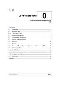 E-book Programar en Java IDE Netbeans - Docsity