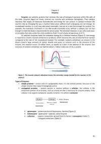 Biochemistry: Enzymes | Papers Biochemistry | Docsity