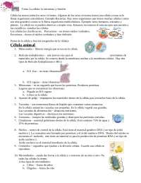 Tema: La célula: la estructura y función - Docsity