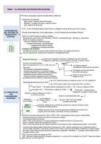 ESQUEMA TEMA 1 IJUE Prof Valentin UV | Esquemas y mapas conceptuales de Derecho Común | Docsity
